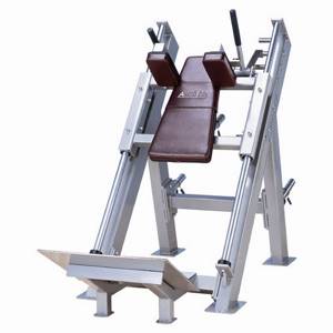 Hack squats in the Hackenschmidt machine: technique of performing the ...