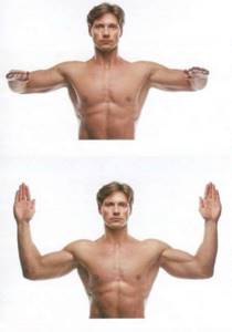 Pronation and supination are the most important movements in arm ...